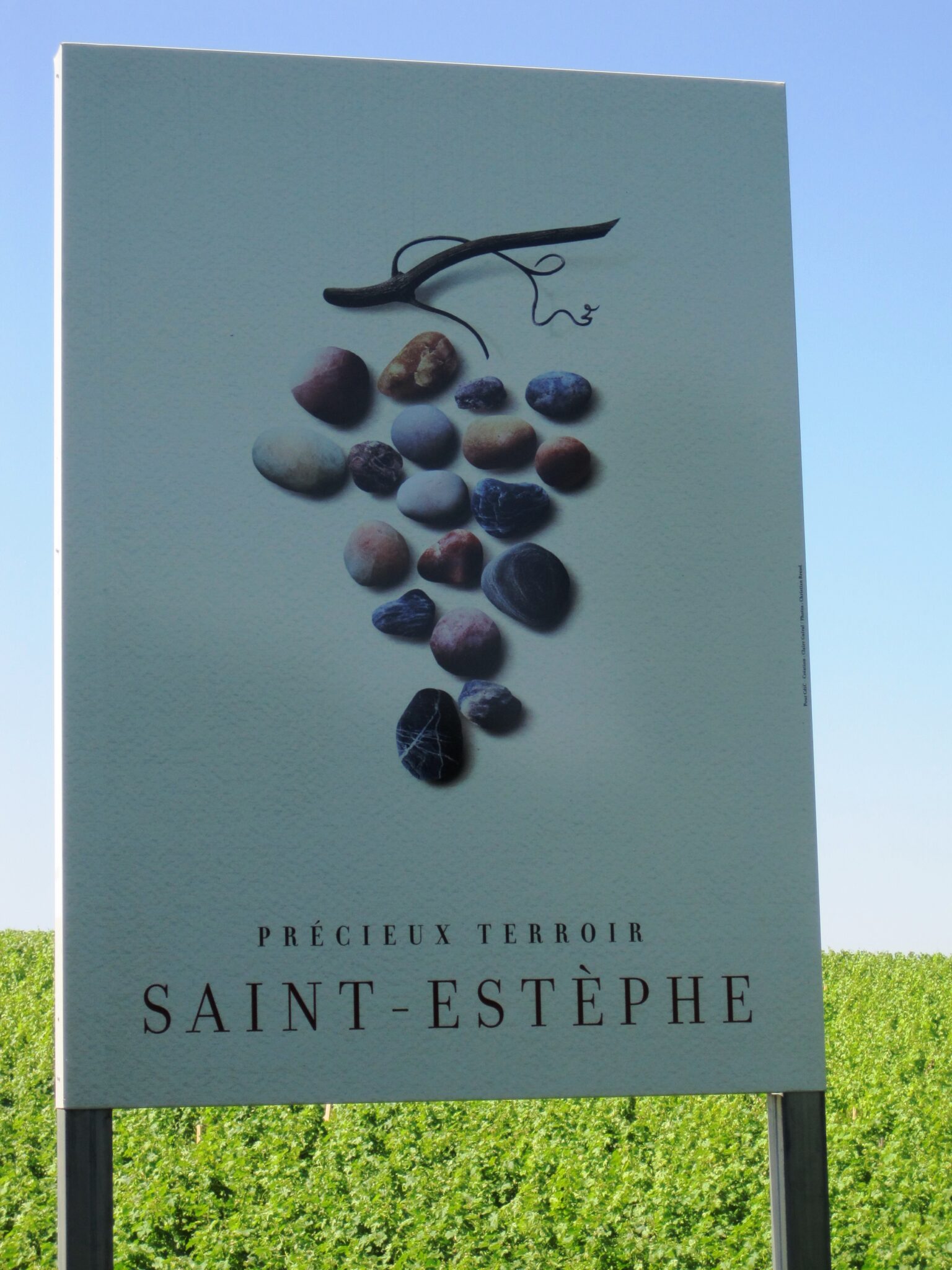 Learn about St Estephe Bordeaux, Best Wines Chateau Vineyards