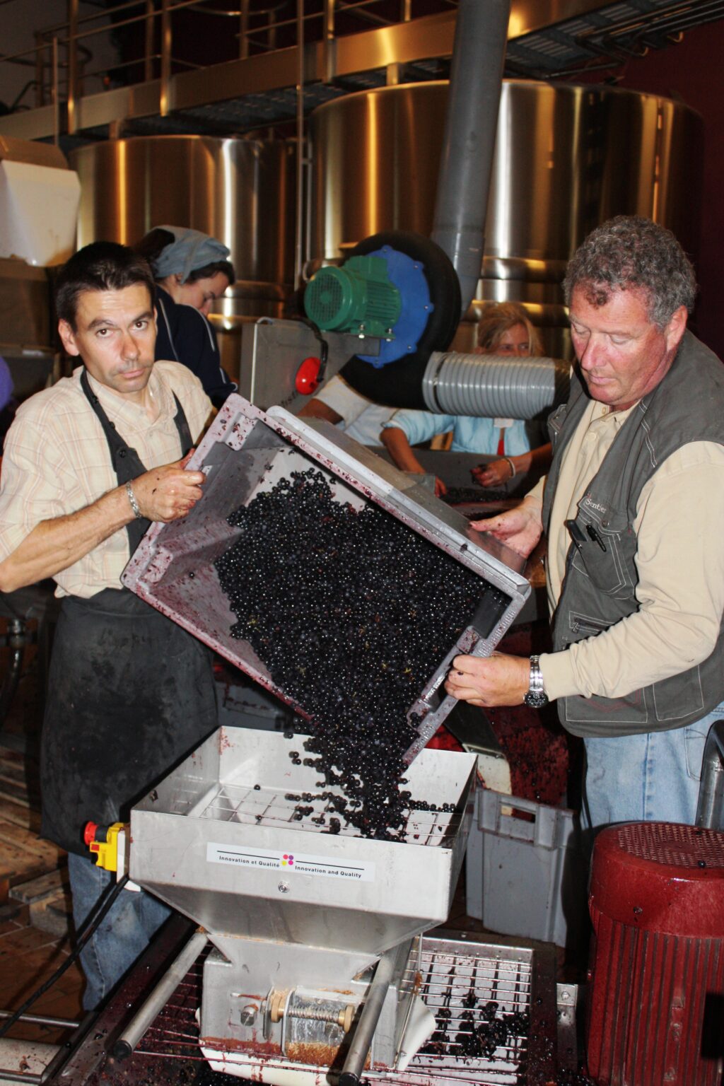 2010 Beau-Sejour Becot Harvest, Juliette Becot tries something new!