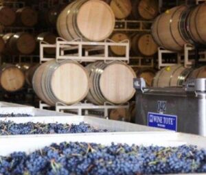 Schrader Cellars Napa Valley California Wine Cabernet Sauvignon