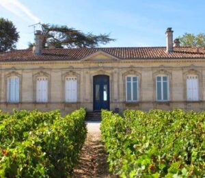 Learn about Chateau Pibran Pauillac Bordeaux, Complete Guide
