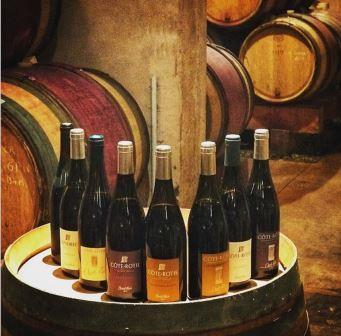 Learn all about Clusel Roch Cote Rotie Rhone Wine, Complete Guide