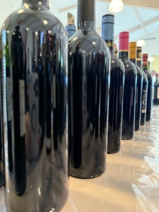 2024 Bordeaux and 2024 AOC Bordeaux Wine Guide